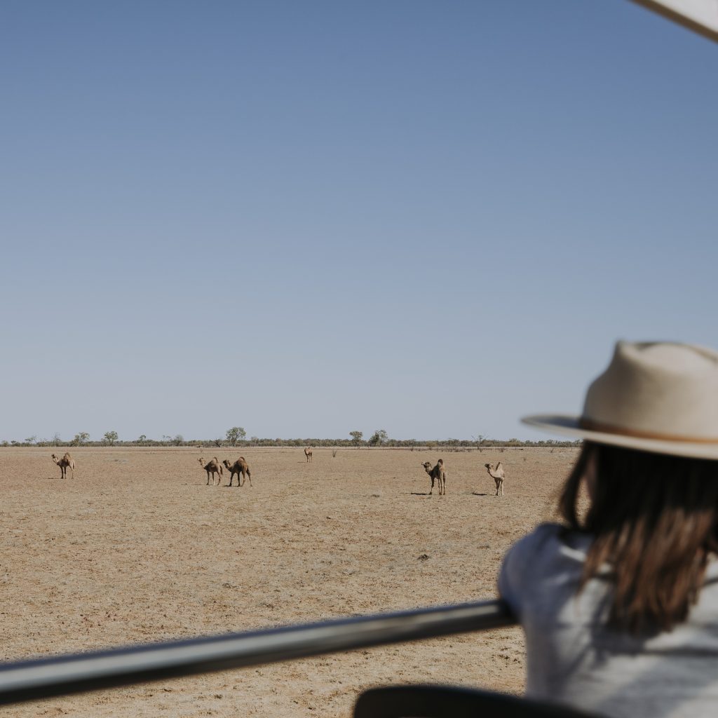 Longreach Australia - We Tour Australia