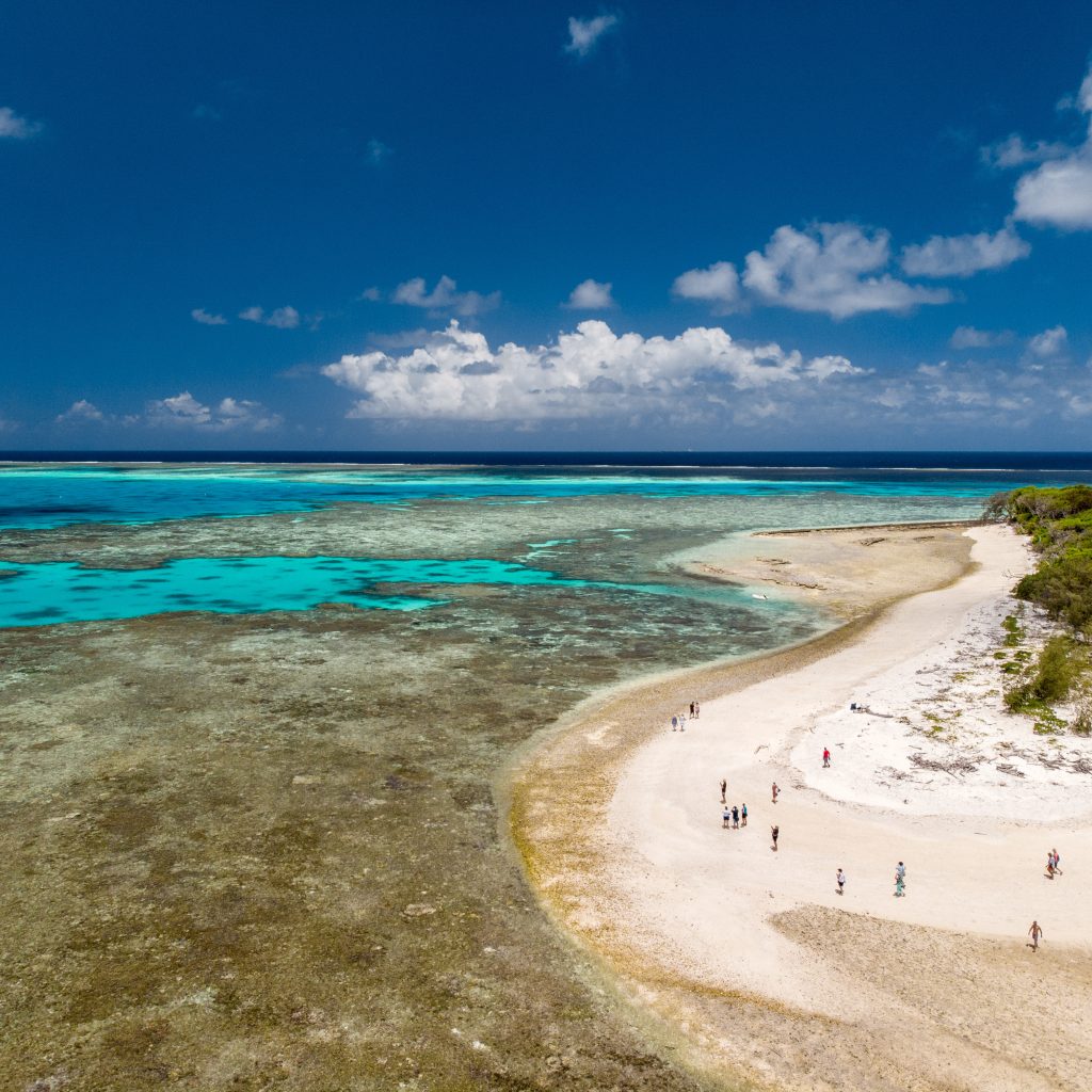 Musgrave Australia - We Tour Australia