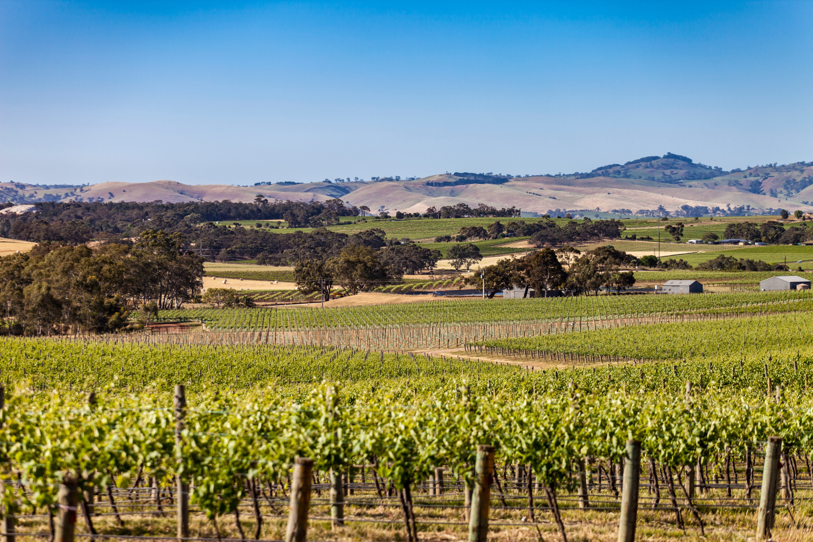 The best time to visit Australia's different states - We Tour Australia