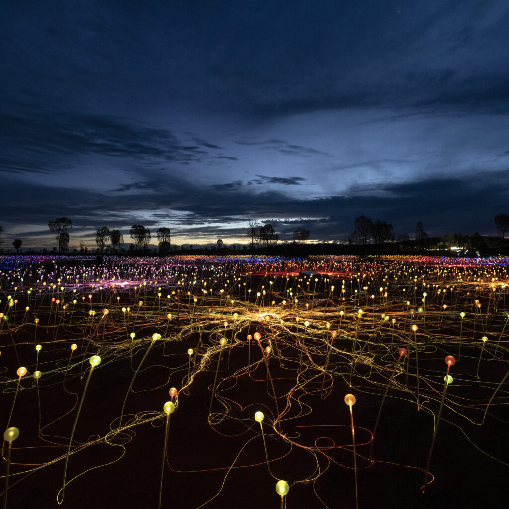 5 things you need to know about the Uluru's Field of Light - Touring ...