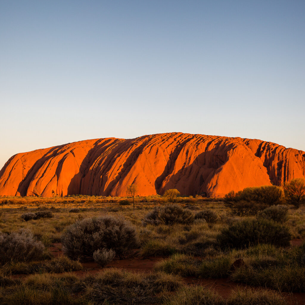 Red Centre & Uluru Must-do Things to Do - Touring Australia with We Tour